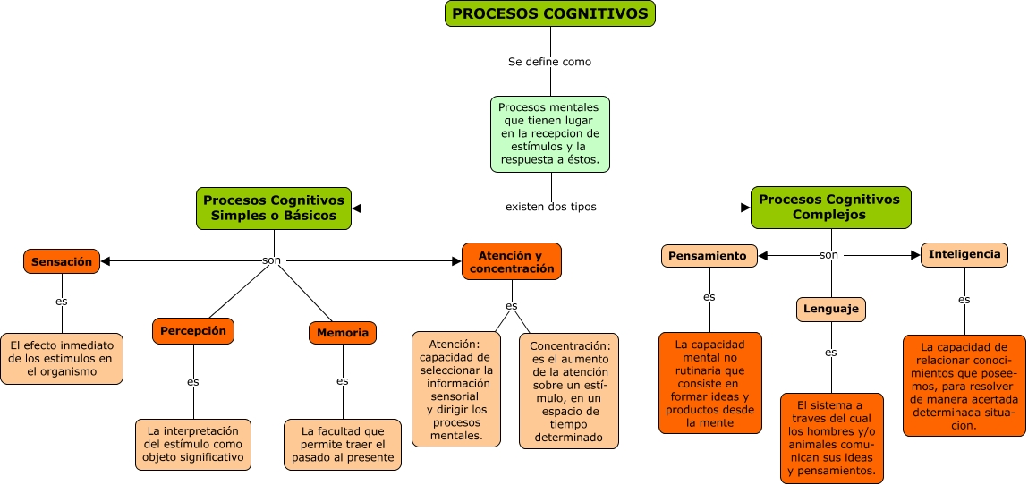 PROCESOS COGNITIVOS - Qué y cuáles son los procesos cognitivos